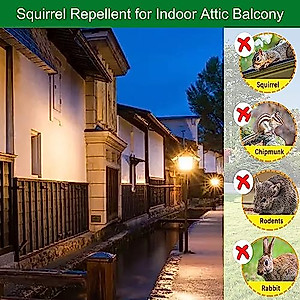Squirrel Repellent 12 Pack, Chipmunk Repellent Outdoor, Natural Squirrel Repellent & Mint Squirrel Deterrent for Bird Feeders/Garden/Attic,Safe Around Kid & Pets, Keep Squirrel Away for Plants