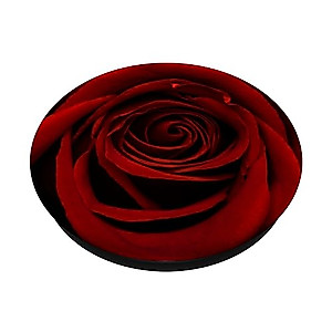 Red Rose Floral Flower PopSockets Standard PopGrip