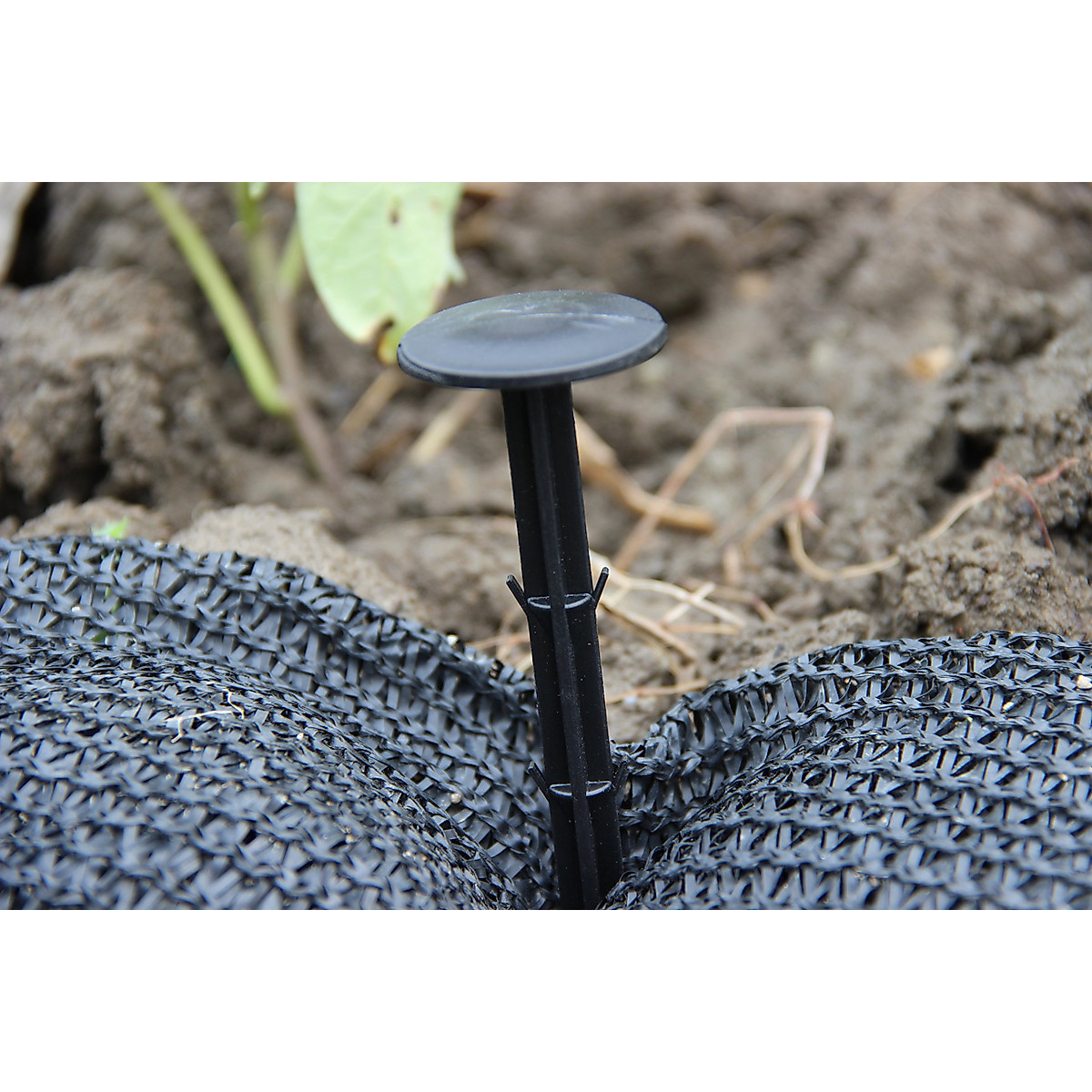KINGLAKE 30 Pcs 4.3 inch Sturdy Plastic Stakes Anchors Rustproof for Holding Down Landscape Fabric Lawn Edging,Tents,Game Nets and Rain Tarps Black