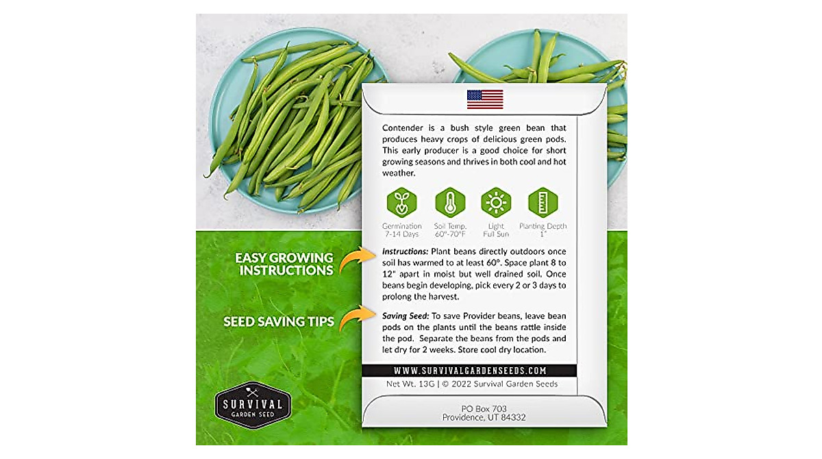 Contender Bush Bean Seeds - Delicious & Easy to Grow