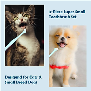 Pet Republique Extra Small Breed Toothbrushe Kit for Dogs & Cats– 1/4” Pointed Brush, 1/4” Flat Brush, 3/8” Regular Brush (3-Piece Kit) - Works on Yorkie, Chihuahua, Pomeranian, and Miniature Breeds