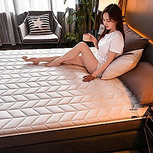 QQCC Mattress Topper Latex Mattress High Grade Memory Foam Filling Tatami Breathable Mat Hotel Mattress Full Size Pad Be (Color : 11, Size : Thickness 5cm)