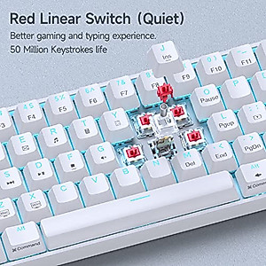 DIERYA DK61SE 60% Mechanical Gaming Keyboard, 61 Keys Anti-Ghosting, LED Backlight, Detachable USB-C, Ultra-Compact Mini Wired Keyboard with Red Linear Switch for Windows Laptop PC Gamer Typist