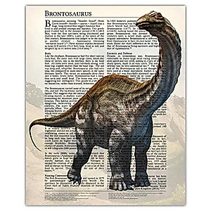TRex, Triceratops, Brontosaurus, Stegosaurus Set of 4, 8x10 Dinosaur Wall Art: Embark on a Jurassic Journey with This Dinosaur Room Decor for Boys, Girls & Teens - Great Dinosaur Poster for Bedroom