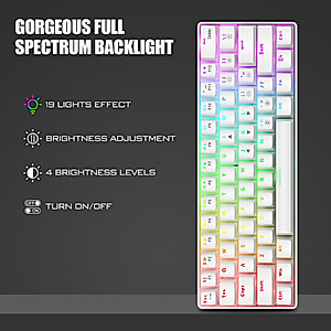RedThunder 60% Wireless Mechanical Keyboard, 1850mAh Rechargeable Battery Wireless Gaming Keyboard, True RGB Backlit, 61 Keys Compact Layout for PC Gamer (White, Blue Switch)
