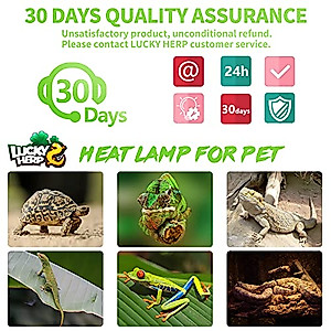 LUCKY HERP 4 Pack 50W Reptile Heat Lamp Bulb (2nd Gen), Amphibian Basking Light Bulb, Reptile Daylight Bulb for Turtle, Bearded Dragon, Lizard Heating Use