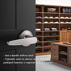 Probrico (1 Pack Door Hardware Dummy Lever Door Handles for Closets,Single Side Individual Door Lever in Satin Nickel