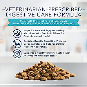Blue Buffalo Natural Veterinary Diet GI Gastrointestinal Support Dry Dog Food, Chicken 22-lb bag