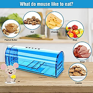 4 Pack Humane Mouse Traps No Kill, Live Mouse Traps Indoor for Home, Reusable Mice Small Rat Trap Catcher for House & Outdoors