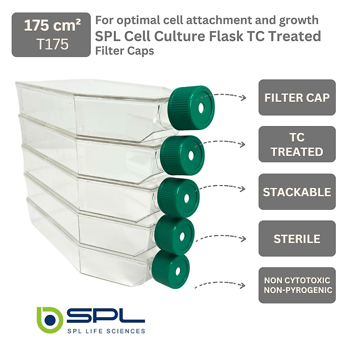 SPL Cell Culture Flask 175 cm2 (T175) Filter Cap, Treated, Sterile 40/Case