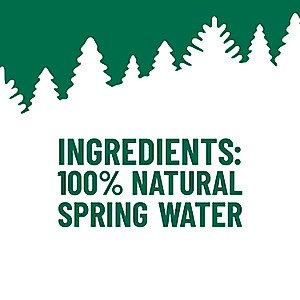 ORIGIN, 100% Natural Spring Water, 900 mL, Recycled Plastic Bottle, 30.4 Fl Oz (Pack of 12)