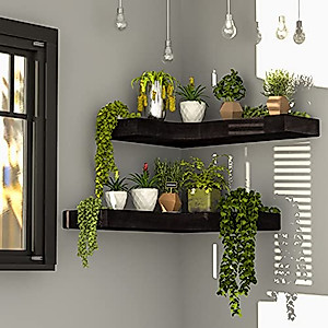 Cayln Corner Floating Shelves Wall Mounted, Invisible Mounting Brackets, Thick Rustic Wood Wall Shelves for Bedroom, Living Room, Bathroom, Kitchen, Set of 2, Brown