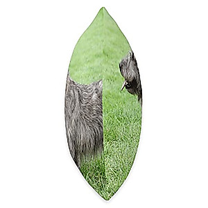 CJ Merch Irish Glen of Imaal Terrier Dog Lover Throw Pillow, 18x18, Multicolor