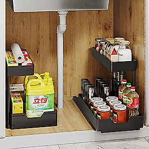Under Sink Organizer-1 Pack, Kitchen Organization, Cabinet Organizer with 2 Cups and 4 Hooks, Bathroom Organizer