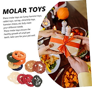 iplusmile 48 Pcs Loofah Chew Toys Hamster Chew Toys Hamster Toy Bunny Teeth Toys Rabbit Chew Toys Bunny Dental Loofah Chews for Small Animals Rat Chew Toys Rat Toys Supplies Guinea Pig