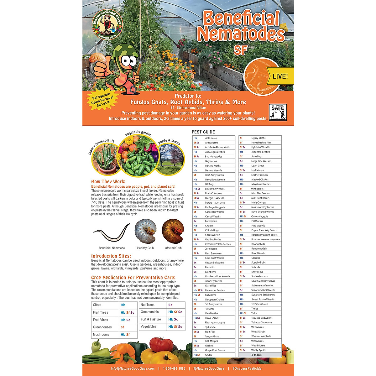 NaturesGoodGuys Beneficial Nematodes Steinernema feltiae SF - 5 Million