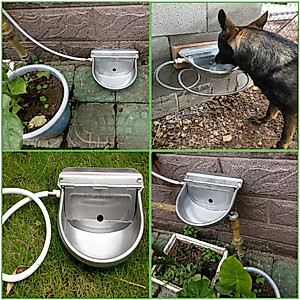 CPROSP Automatic Cow Drinking Water Bowl with GHT 3/4'' Adapter, with Pipe Hose Stainless Steel Pet Supplies G1/2" M20/20mm Thread