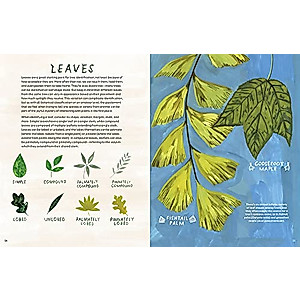 Trees: An Illustrated Celebration