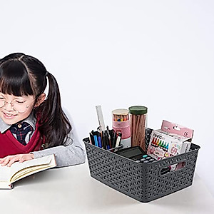 Saedy Plastic Storage Baskets, Deep Grey Basket Bin, 4-Pack