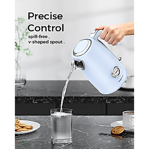 LONGDEEM Electric Kettle Quick Heating, Hot Tea Water Boiler with Thermometer 1.7L Stainless Steel Cordless LED Indicator 1500W, Auto Shut-Off & Boil Dry Protection, Easy to Clean, Blue