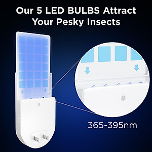 WizTrap MiniMax Plug in Fruit Fly Traps for Indoors! A Flying Insect Trap with UV LED Bulbs & 5 Glue Board Refills! Gnat Trap Used as a Fruit Fly Killer, Indoor Fly Trap, Mosquito Trap, Gnat Killer!
