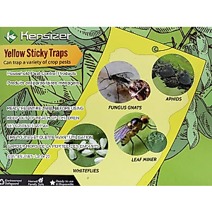 Kensizer 20-Pack Fruit Fly Trap, Yellow Sticky Gnat Traps Killer for Indoor/Outdoor Flying Plant Insect Like Fungus Gnats, Whiteflies, Aphids, Leaf Miners - 6x8 in, Twist Ties Included