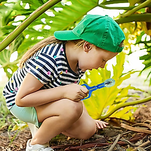 ZLY 3 Pack Reptile Feeding Clamp,Reptile Poop Scoop Reptile Feeding and Cleaning Tool,Plastic Reptile Feeding Clamp for Tortoise Lizard Frog Spider and Other Small Animals