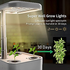 Ahopegarden Indoor Garden Hydroponic Growing System with 60pcs Grow Sponge Replacement
