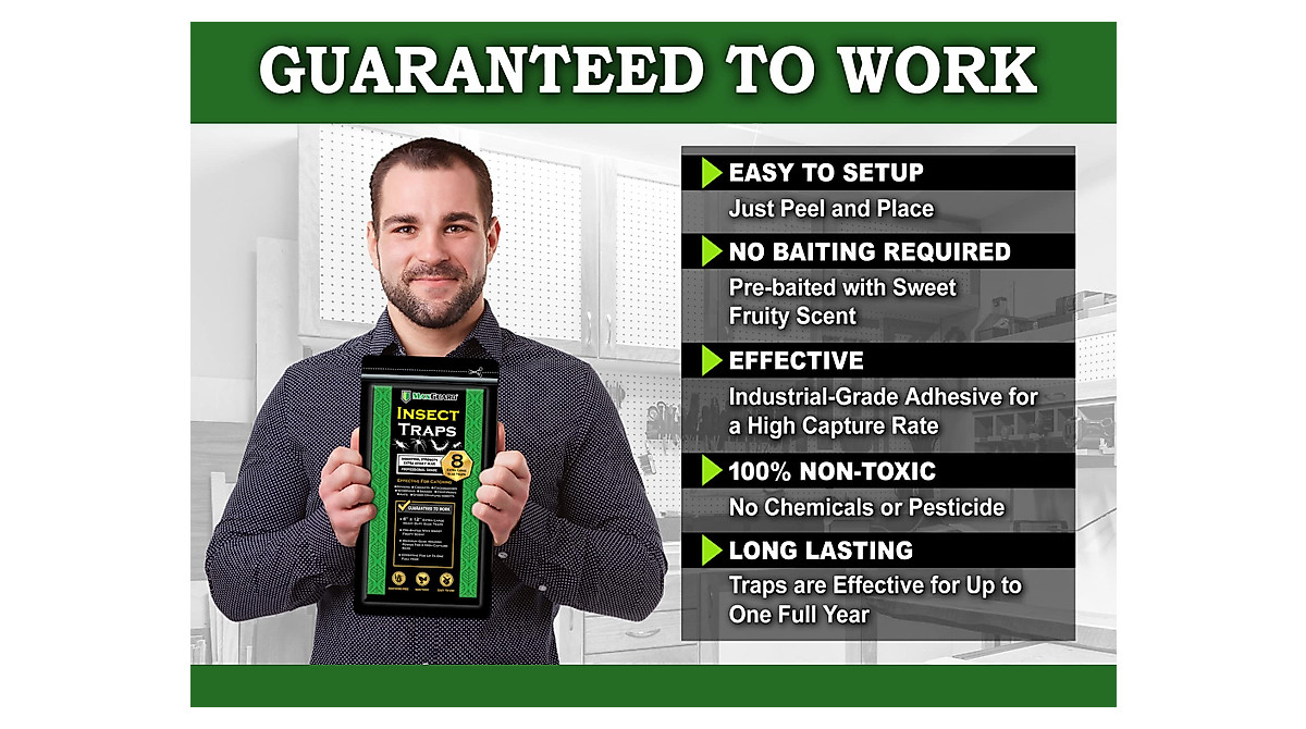 MaxGuard Extra Large Insect Traps - Non-Toxic & Long-Lasting