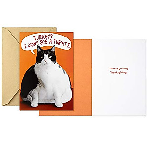 Hallmark Funny Shoebox Funny Thanksgiving Card Assortment (6 Cards with Envelopes)