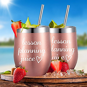 2 Pack Funny Teacher Gift Sippy Cup Lesson Planning Juice Personalized Christmas Thanksgiving Teacher Appreciation Gift for Professor Teaching Assistant, 12 oz Wine Tumbler
