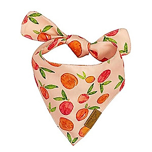 Remy+Roo Dog Bandanas - 4 Pack | Kathrine Set | Premium Durable Fabric | Unique Shape | Adjustable Fit | Multiple Sizes Offered (Large)