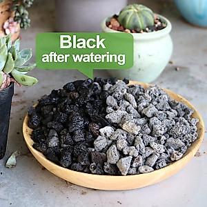 2.7lb Black Horticultural Lava Rock Bonsai Drainage Gravel Decorative Stones for Indoor Potted Plants Succulent Cactus Gritty Planting Medium Volcanic Pebbles for Terrarium, Gardening, Top Dressing