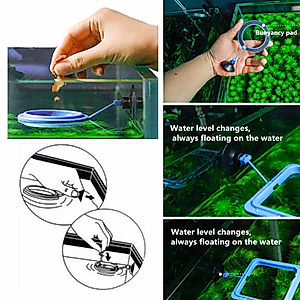 2 Pcs Fish Feeding Ring, Fish Safe Floating Food Feeder Circle Blue, with Suction Cup Easy to Install Aquarium, Square and Round Shape Fish Tank Towels - for Guppy, Betta, Goldfish, Etc. (Blue)¡­