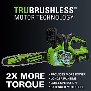 Greenworks 24V 12" Brushless Cordless Compact Chainsaw (Great For Storm Clean-Up, Pruning, and Firewood / 125+ Compatible Tools), 4.0Ah Battery and Charger Included