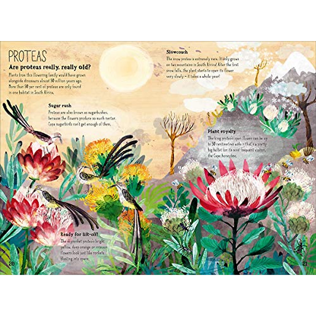 The Big Book of Blooms (The Big Book Series)