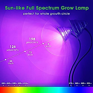 Briignite Grow Light, LED Grow Lights for Indoor Plants, Full Spectrum Plant Light, Grow Lamp with 3 Full Spectrum Modes, 10-Level Dimmable, Auto On Off Timing 3/9/12Hrs, Dual Heads