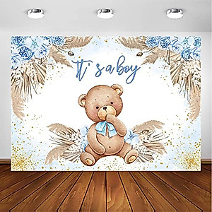 Avezano Boho Bear Baby Shower Backdrop for Boy's Party Decorations Blue Pampas Grass It's a Boy Baby Shower Photography Background Bohemian Bear Baby Shower Decorations Photoshoot (7x5ft)