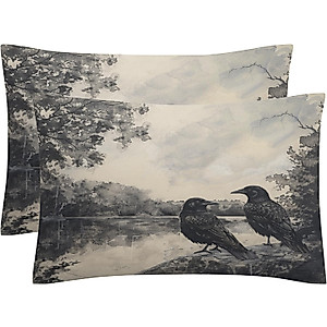 OmErsa Crow Duvet Cover King Size Bedding Set 3 PCS, Scenery Comforter Cover & 2 Pillowcases Soft Microfiber Patterned Bedroom Decorations for Adults Teens