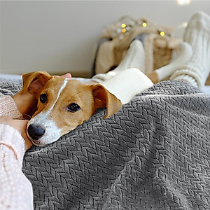 INFIIXSO Throw Blanket for Couch, Super Soft Fleece Blanket with Leaves Pattern Design, Versatile Lightweight Fuzzy Blanket for Bed, Sofa and Travel All Season Use(60x80 Inches, Grey)