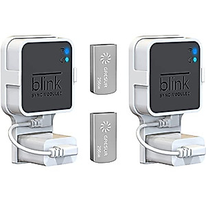 256GB Blink USB Flash Drive for Local Video Storage with The Blink Sync Module 2 Mount (Blink Add-On Sync Module 2 is NOT Included),2Pack