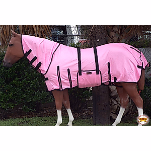 HILASON 66 Inches Horse Ultra Violet Rays Protect Mesh Bug Mosquito Horse Fly Sheet Summer Spring | Fly Sheet | Horse Turnout Sheet | Fly Sheet for Horses | Bug and Mosquito Protection