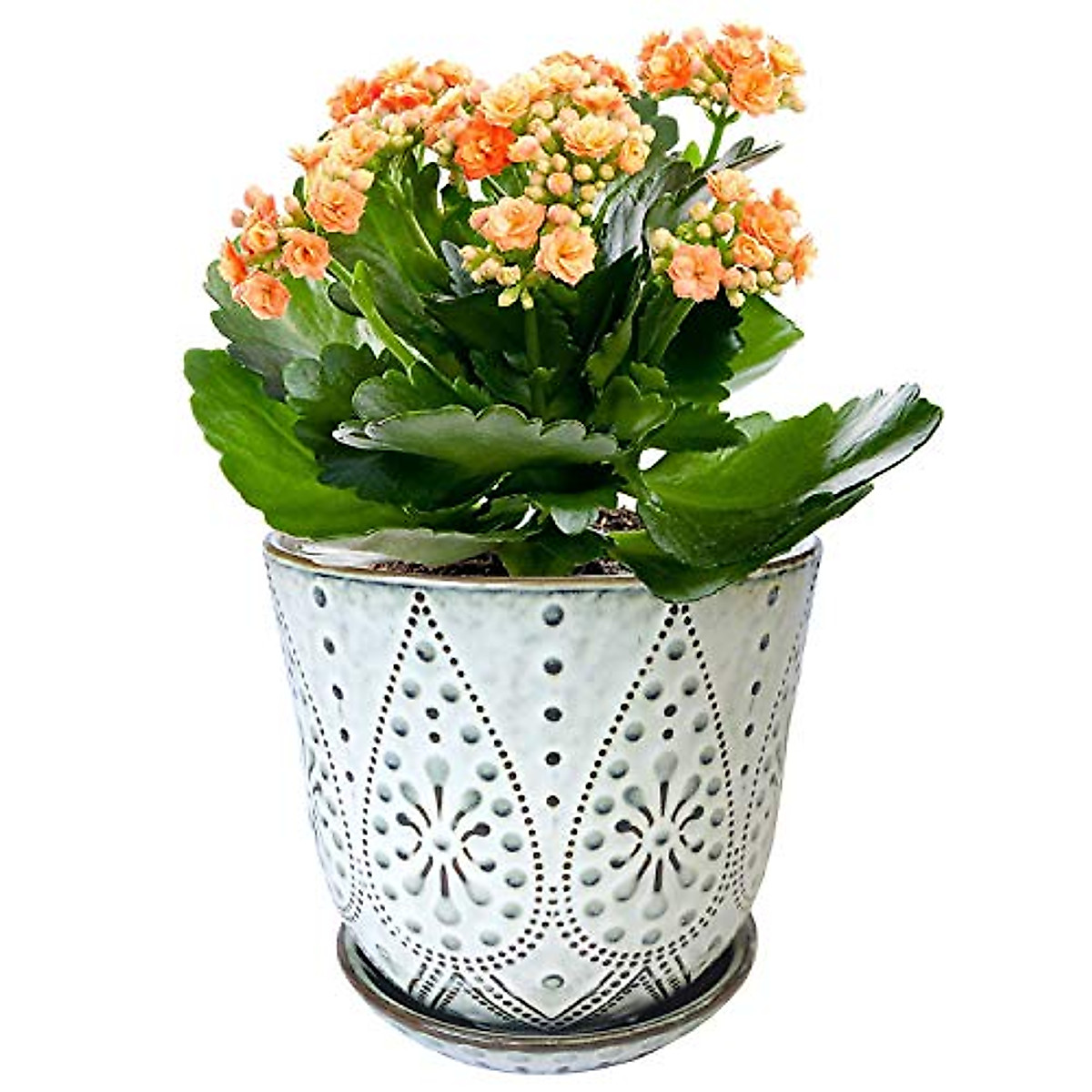 Gepege 6 Inch Beaded Ceramic Planter Set of 2 with Drainage Hole and Saucer for Plants, Indoor-Outdoor Large Round Succulent Orchid Flower Pot (Smoked Gray, for Inner-pots not Larger Than 5 Inch)