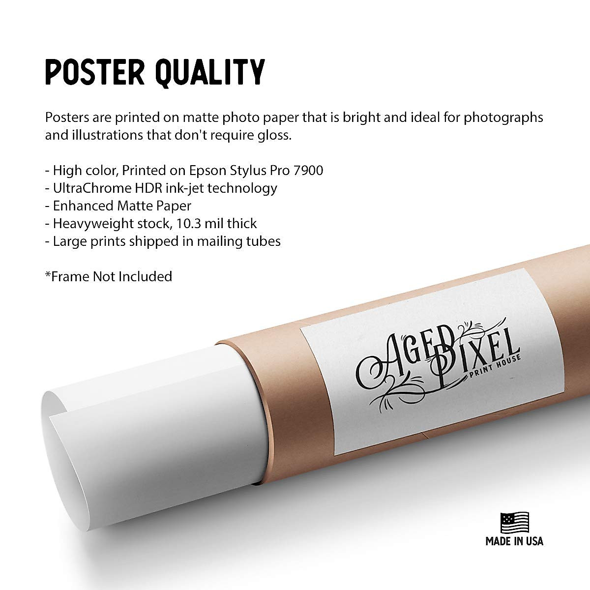 Vagina with Flowers Anatomy Print, Obstetrician Gift, Gynecology Student Graduation, Gynecologist Office Decor, ObGyn, Vulva Medical Decor - UNFRAMED