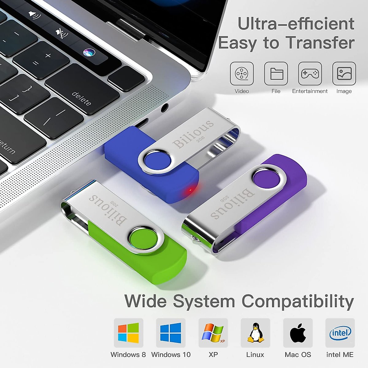 USB Flash Drive, Bilious Swivel Metal Style Thumb Drives with Led Indicator, Portable Fold Memory Stick Keychain Design U Disk (2GB, 10 Pack)