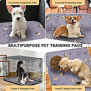 UPSKY Washable Pee Pads for Dogs 2 Pack Reusable Puppy Pads Waterproof Pet Training Pads, Non-Slip Dog Mats Fast Absorbent Whelping Pads for Playpen, Potty, Crate, Bed, 34” x 36”