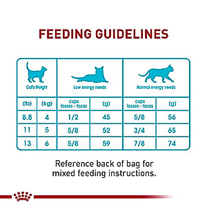 Royal Canin Feline Care Nutrition Urinary Care Adult Dry Cat Food, 6 lb Bag