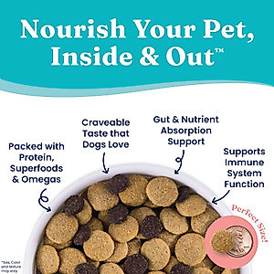 Solid Gold Dry Dog Food for Adult & Senior Dogs - Made with Real Lamb & Brown Rice - NutrientBoost Hund-N-Flocken Healthy Dog Food for Weight Management & Better Digestion - 3.75 LB Bag