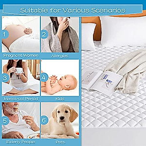 Queen Size Quilted Fitted Mattress Pad, 100% Waterproof Breathable Mattress Protector, Noiseless Hollow Cotton Mattress Topper, Fitted 8"-26" Deep, Dust Proof