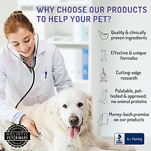 ANP Enhance Your Dog's Health with Mushroom Immune Supplement Boosting Dog Chews - No Animal Protein Formula - Vitality, Longevity, and Gut Health - Potent Reishi, Chaga, and Shiitake Mushrooms